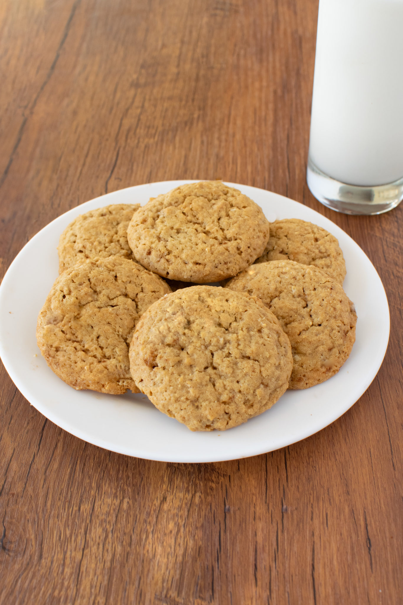 Easy Plain Oatmeal Cookies - Easy Shmeezy Recipes